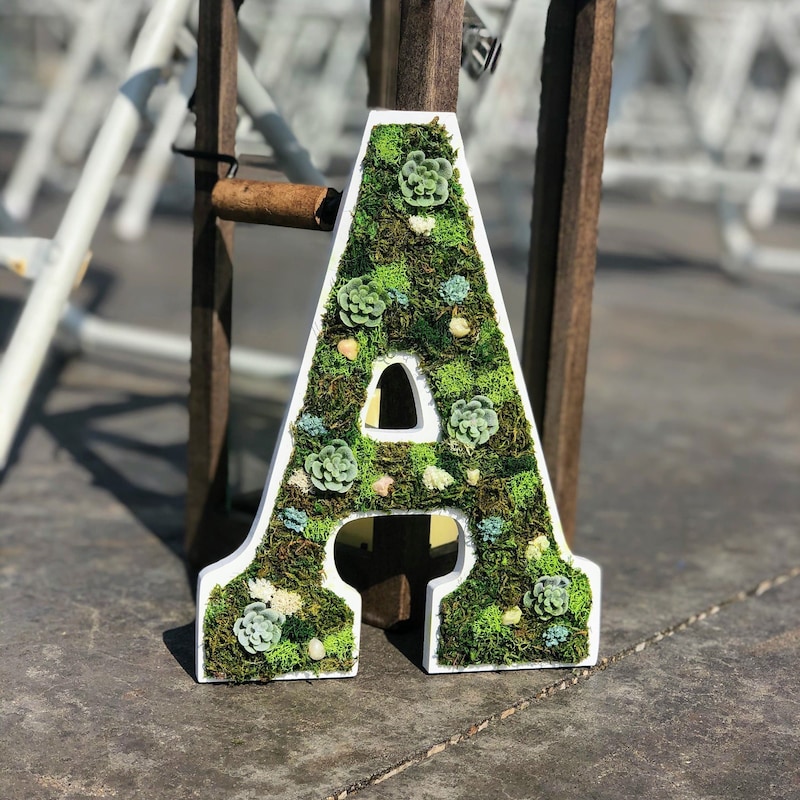 Moss Wall Art - Etsy