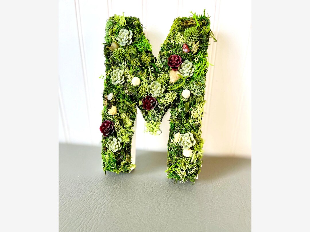 Moss Art Letter – Paper Mache Monogram With Succulent and Preserved ...