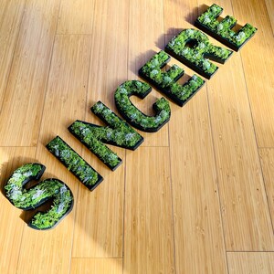 Moss Art Letter – Wood Monogram With Succulent and Preserved Moss Wall ...
