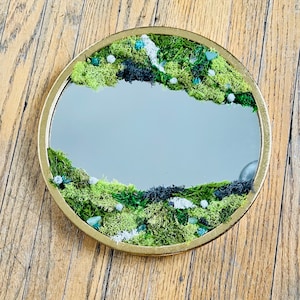 Mirror Moss Art, Moss Wall Mirror, Gold Round Mirror, Cottagecore ...