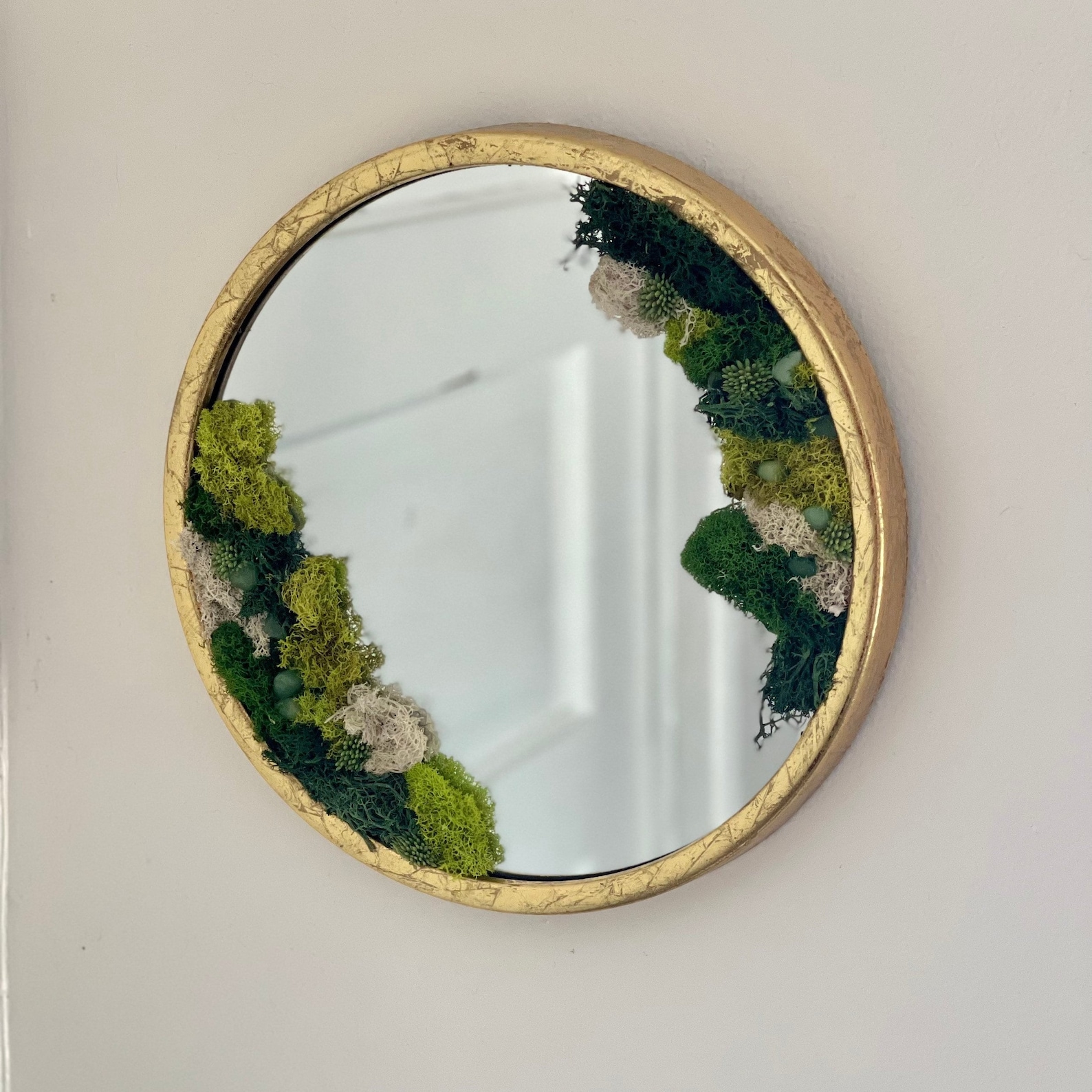 Gold Round Moss Mirror – Wall Art With Preserved Moss for Home or ...