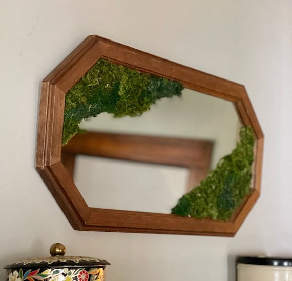 Mirror Moss Art Moss Wall Mirror Vintage Hexagon Mirror - Etsy