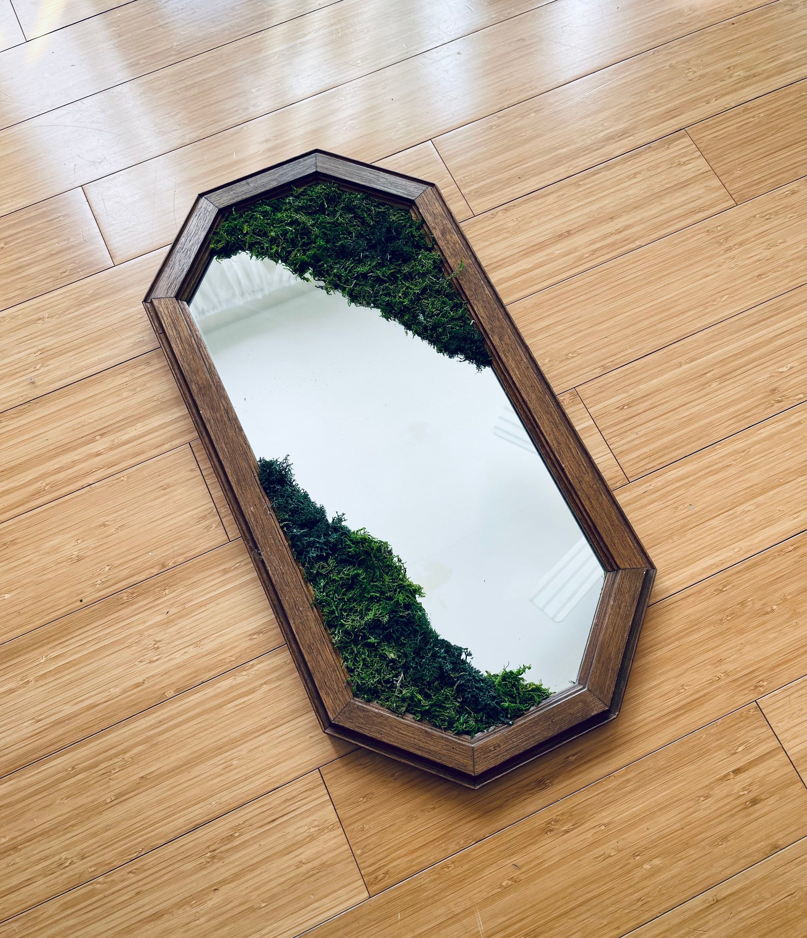 Mirror Moss Art Moss Wall Mirror Vintage Hexagon Mirror - Etsy