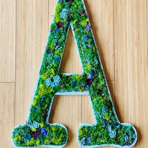Moss Letter Art – Preserved Moss With Faux Succulents and Floral Wall ...