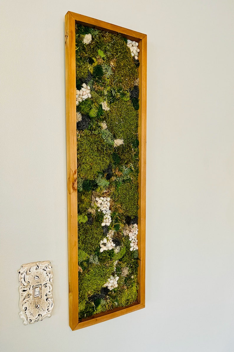 Framed Preserved Moss Wall Art – Custom Reindeer Moss Decor for Home - Etsy