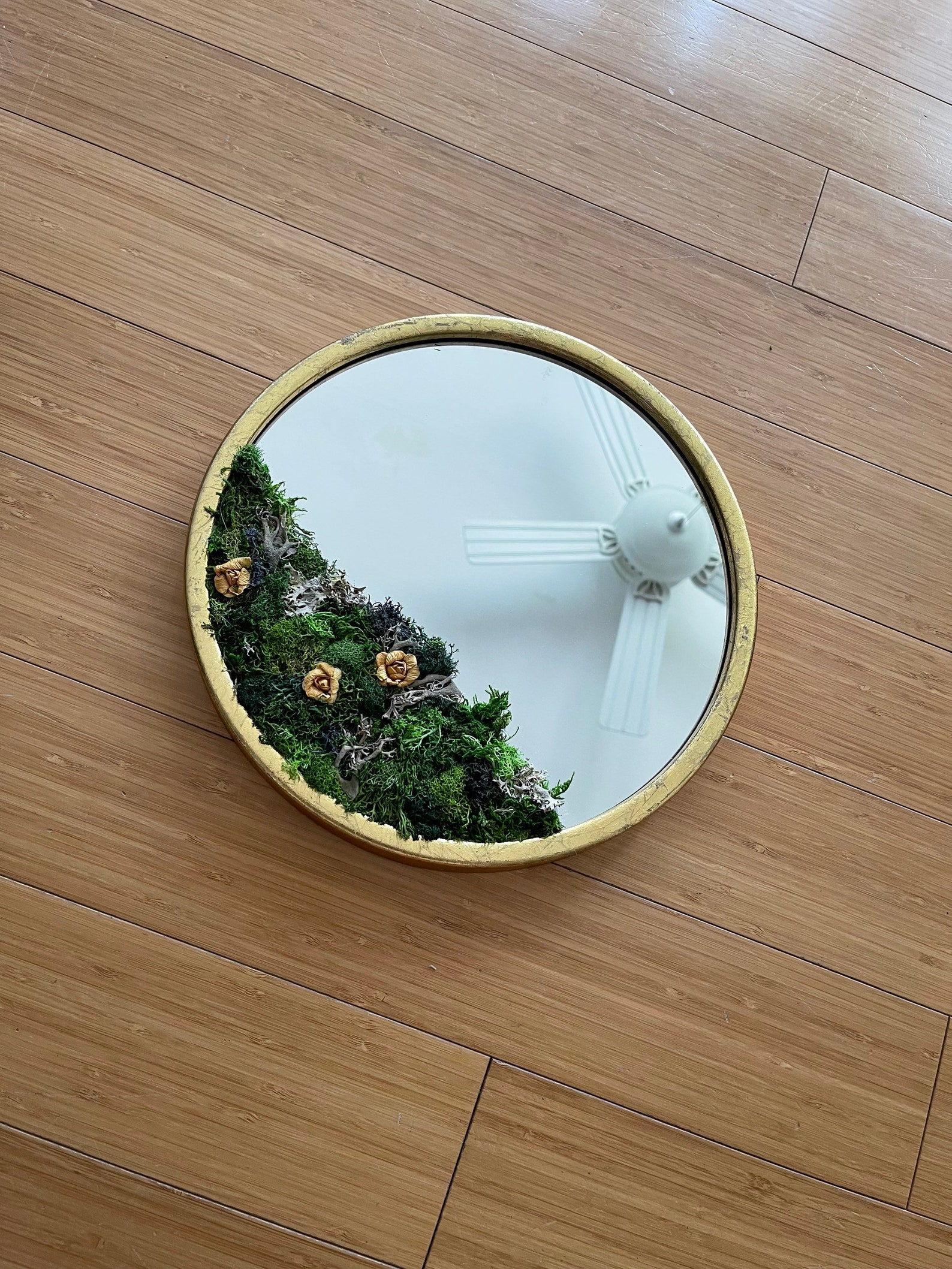 Mirror Moss Art Moss Wall Mirror Gold Round Mirror - Etsy