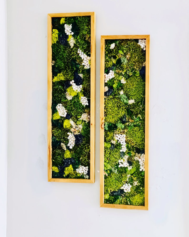 Framed Preserved Moss Wall Art – Custom Reindeer Moss Decor for Home - Etsy