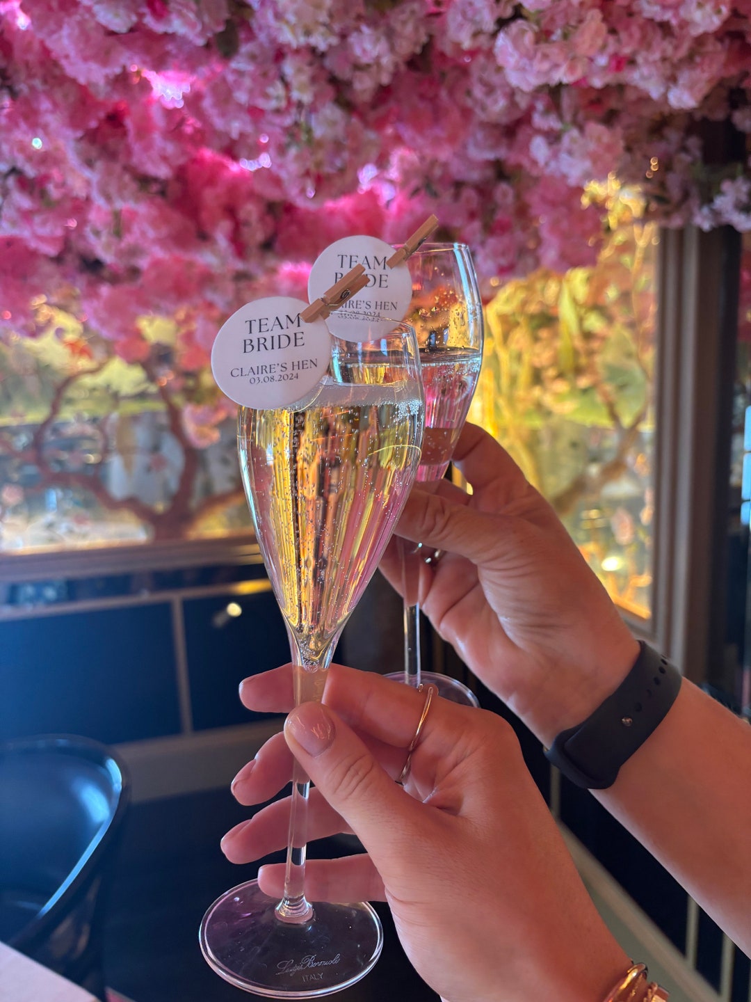 30 Hen Party/bridal Shower Prosecco Drinks Toppers With Pegs - Etsy