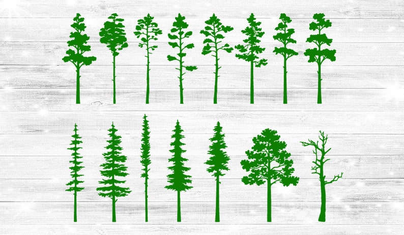 15 Forest Tall Trees Bundle SVG PNG for Cricut and Silhouette | Etsy