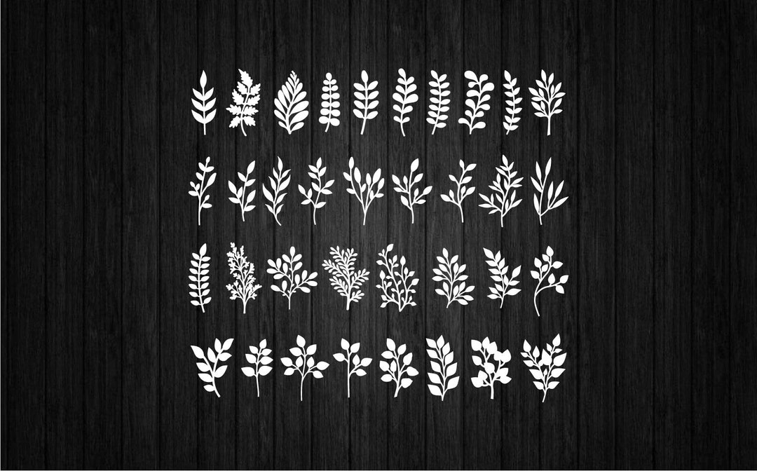 35 Beautiful Foliage Leaves Bundle SVG PNG for Cricut and Silhouette ...