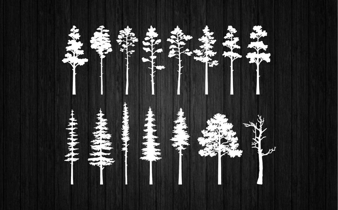 15 Forest Tall Trees Bundle SVG PNG for Cricut and Silhouette ...