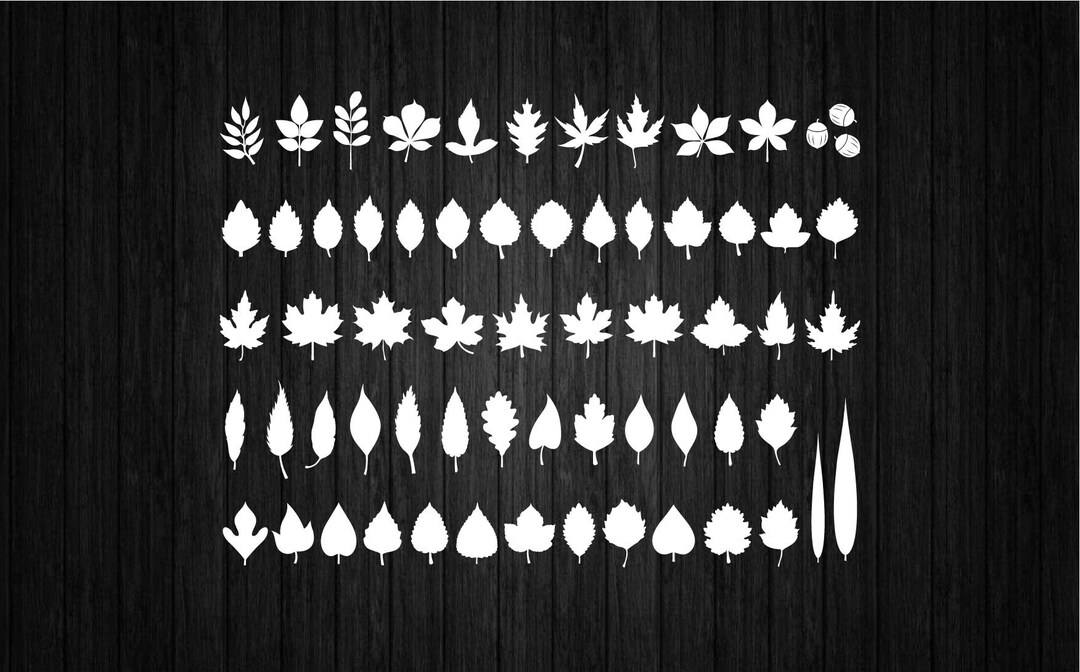 Autumn Leaves Bundle SVG PNG for Cricut and Silhouette, Foliage Bundle ...
