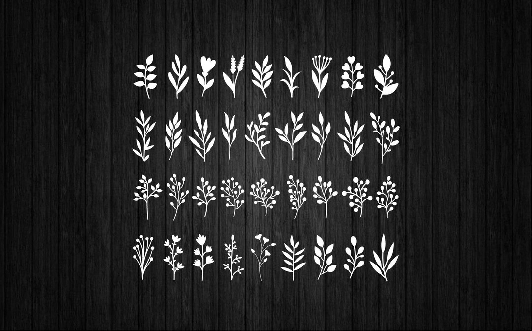 32 Beautiful Foliage Leaves Bundle SVG PNG for Cricut and Silhouette ...