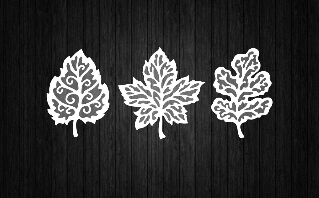 Beautiful Leaves Bundle SVG PNG for Cricut and Silhouette, Autumn ...
