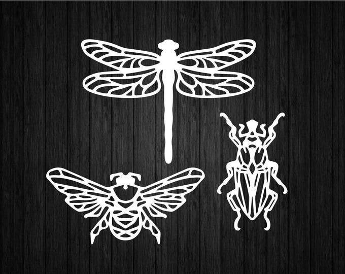 Insects Svg, Insects Png, Insects Silhouettes, Insects Zentangle Svg ...