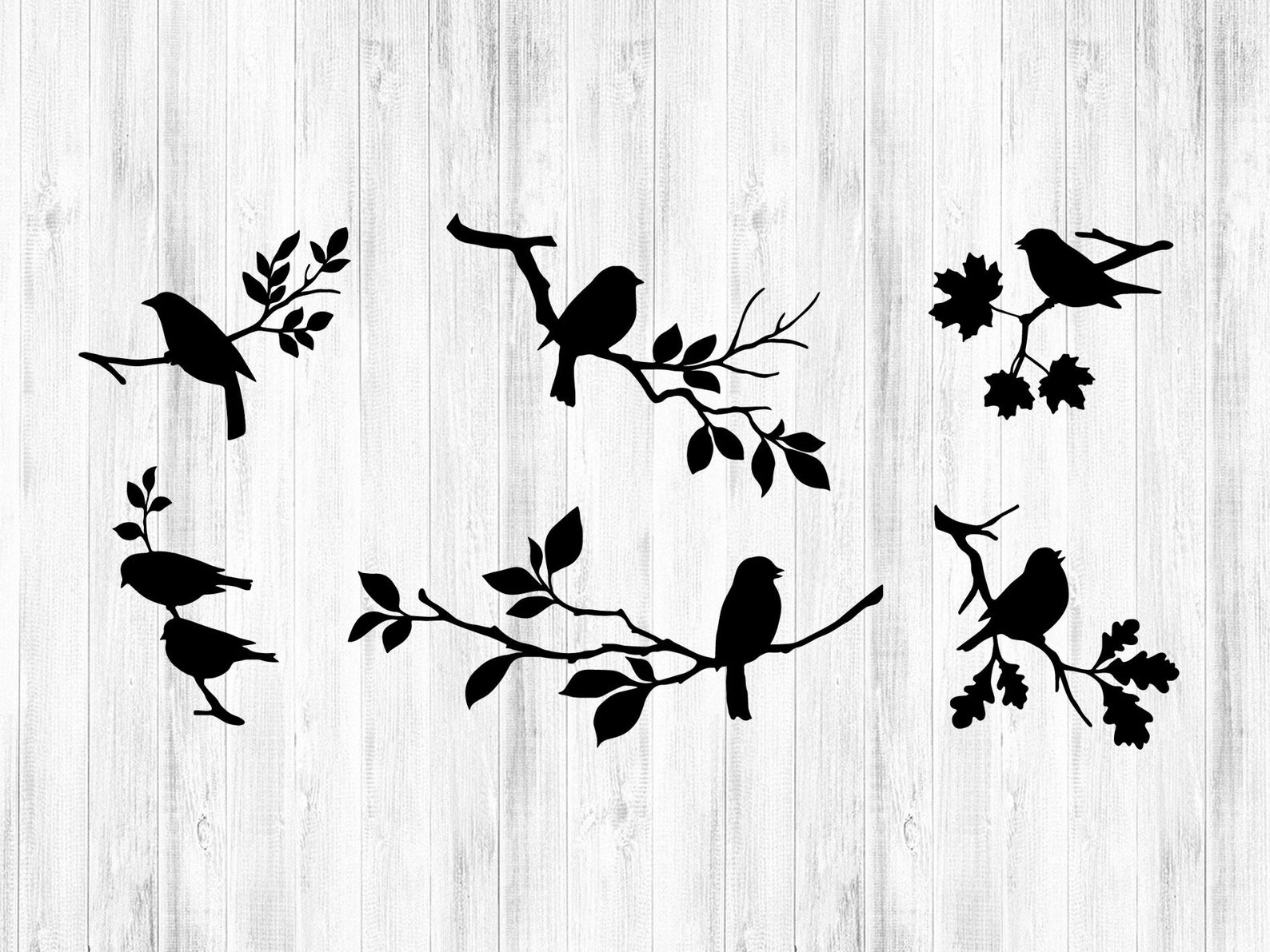 6 Branch Birds Bundle SVG PNG for Cricut and Silhouette - Etsy