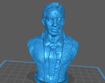 Two Face Bust - Etsy