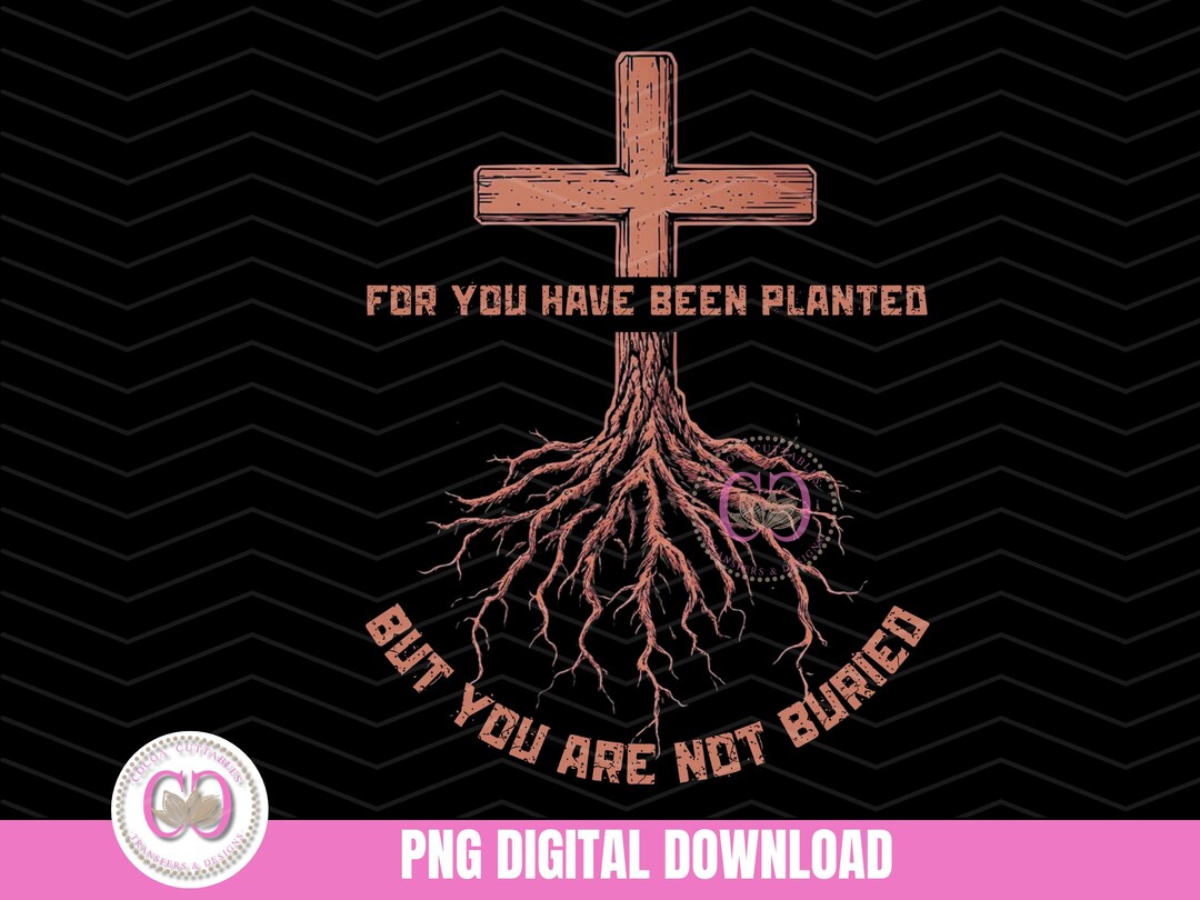 Christian Cross With Tree Roots PNG, You Have Been Planted but Not ...
