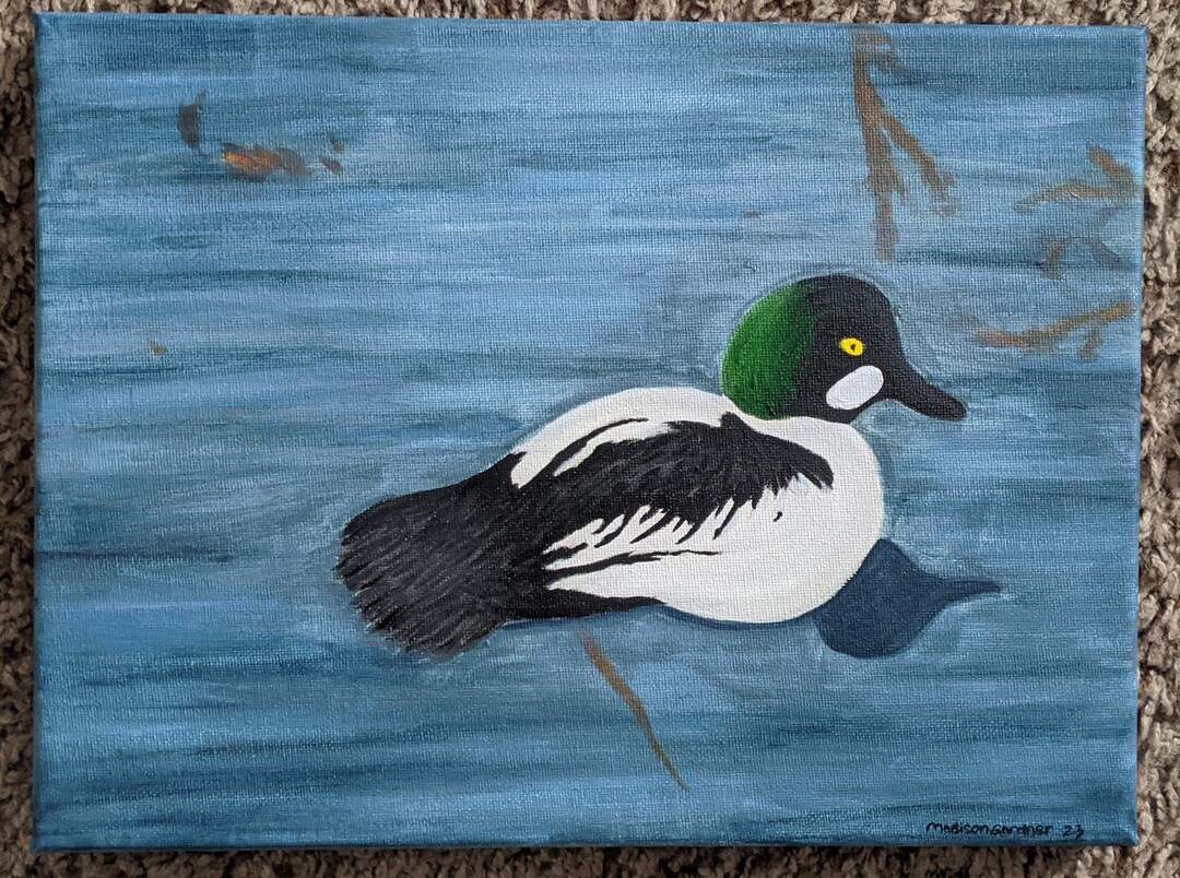 Acrylic Common Goldeneye Painting on Canvas, 9in × 12in, Expressionism ...