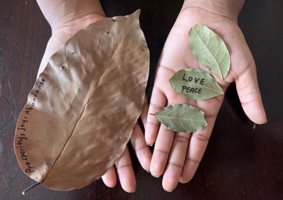 Prayer Plant / Prayer Leaves / Wish-fulfilling Leaves / Kalpavriksha ...