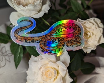 Holographic Rainbow Boa Sticker - Etsy