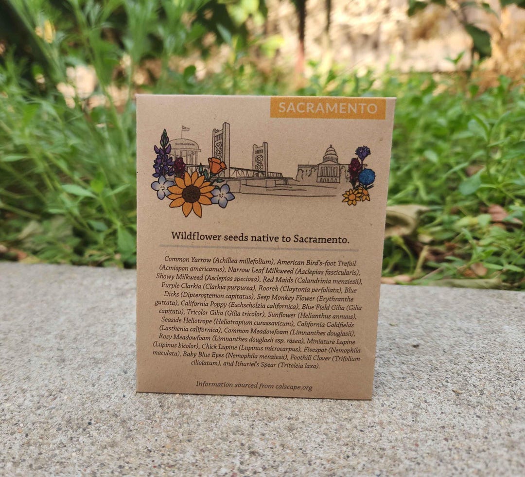 Sacramento Wildflower Seed Mix - Northern California Native Wildflower ...