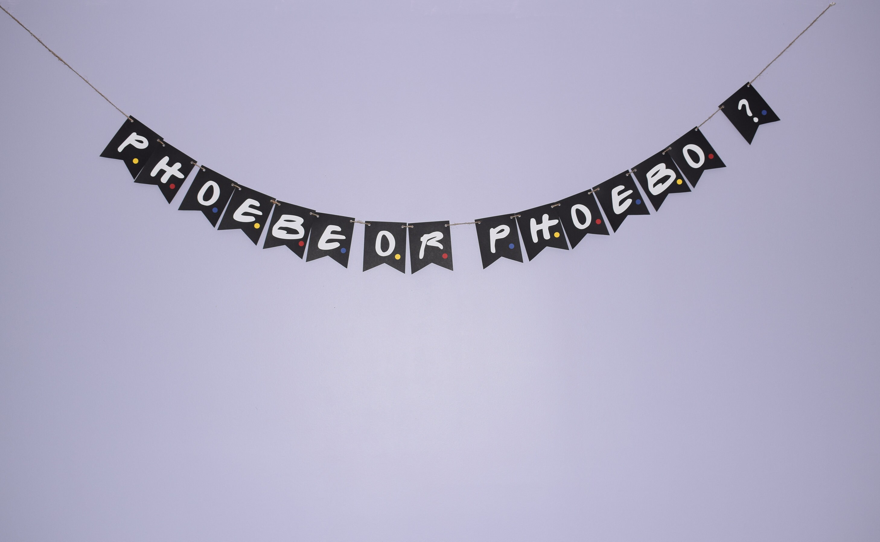 Friends Show Themed Gender Reveal Banner / Phoebe or Phoebo - Etsy
