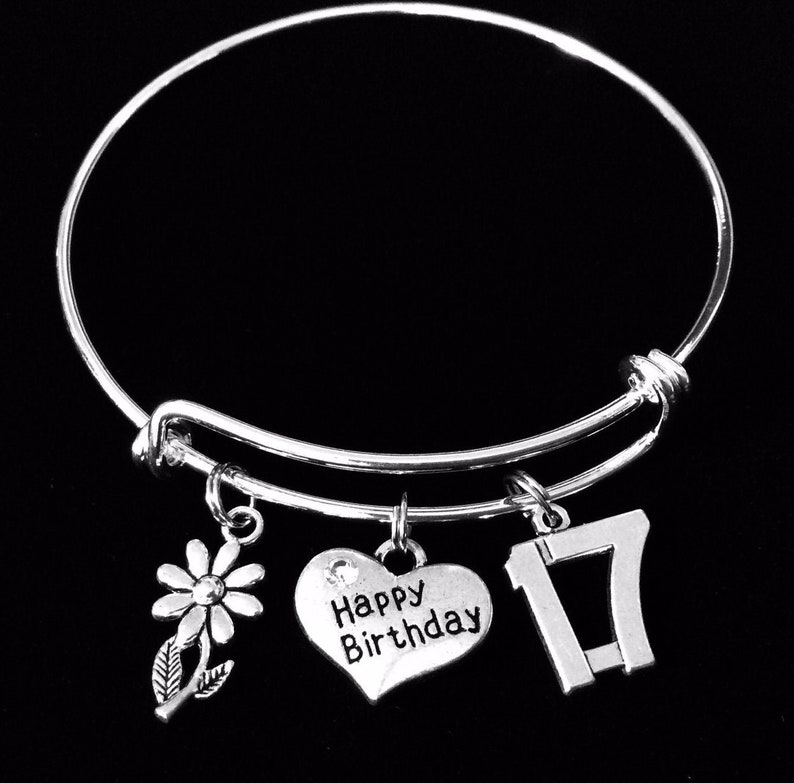 Birthday Gift For 17 Year Old Girl Expandable Charm Bracelet Teenager s birthday-gift-for-17-year-old-girl-expandable-charm-bracelet-teenager-s