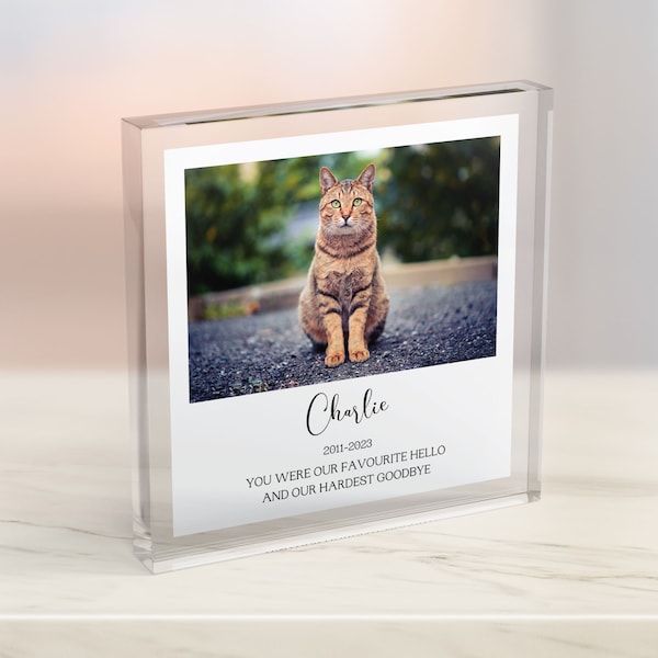 Cat Memorial Gift - 60+ Gift Ideas for 2024