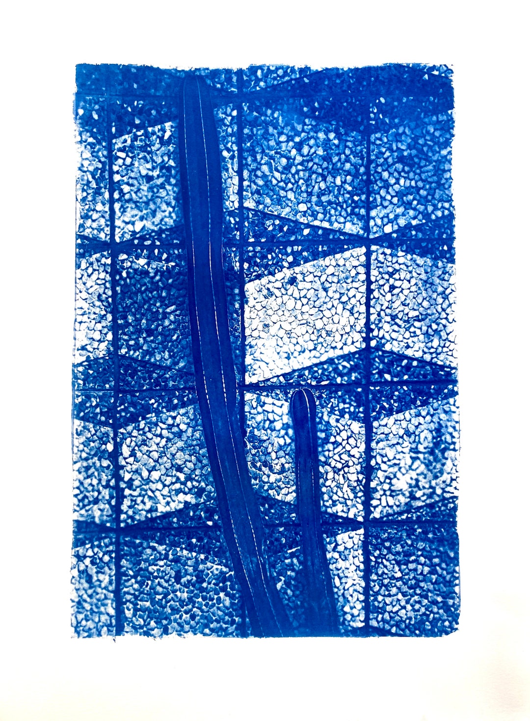 Midcentury Modern Cactus - Cyanotype / Photography on Watercolor Paper ...
