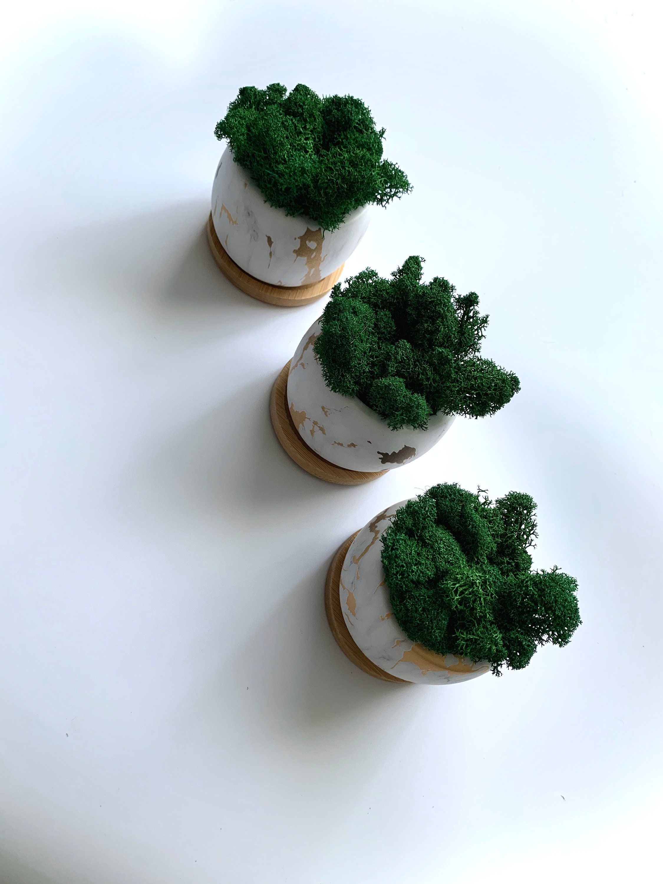 Set of 3 Moss Pots Scandinavian Moss Pot GIFT IDEA Preserved Moss Decor ...