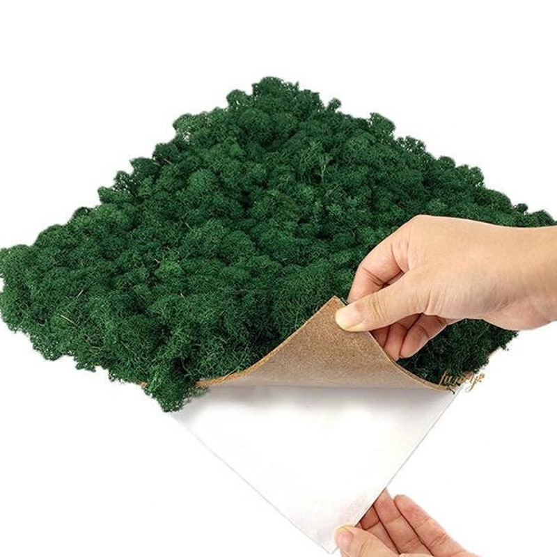 Green Eco Moss - Etsy