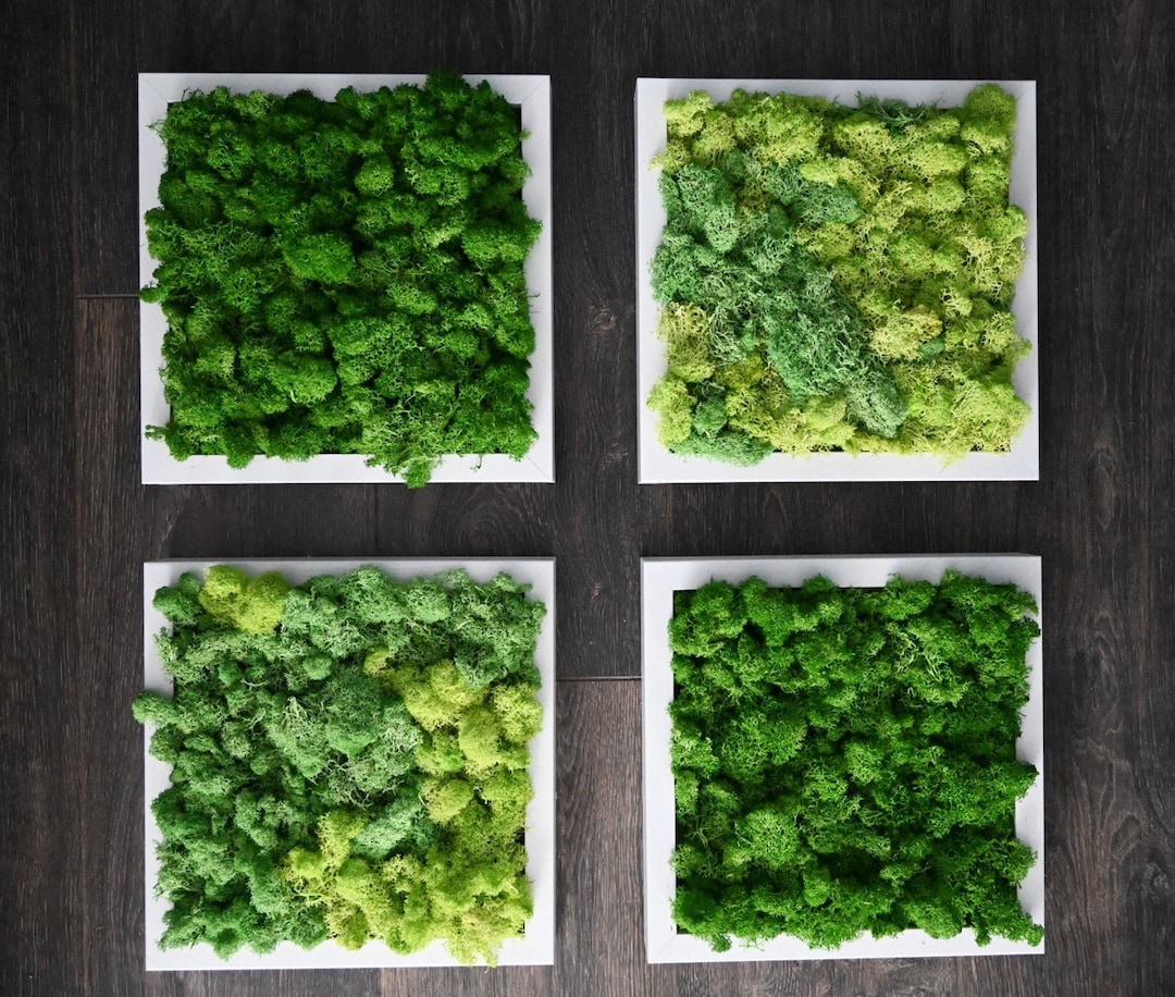 Scandinavian Moss Tile Preserved Moss Decor Home Office Decor Modern ...