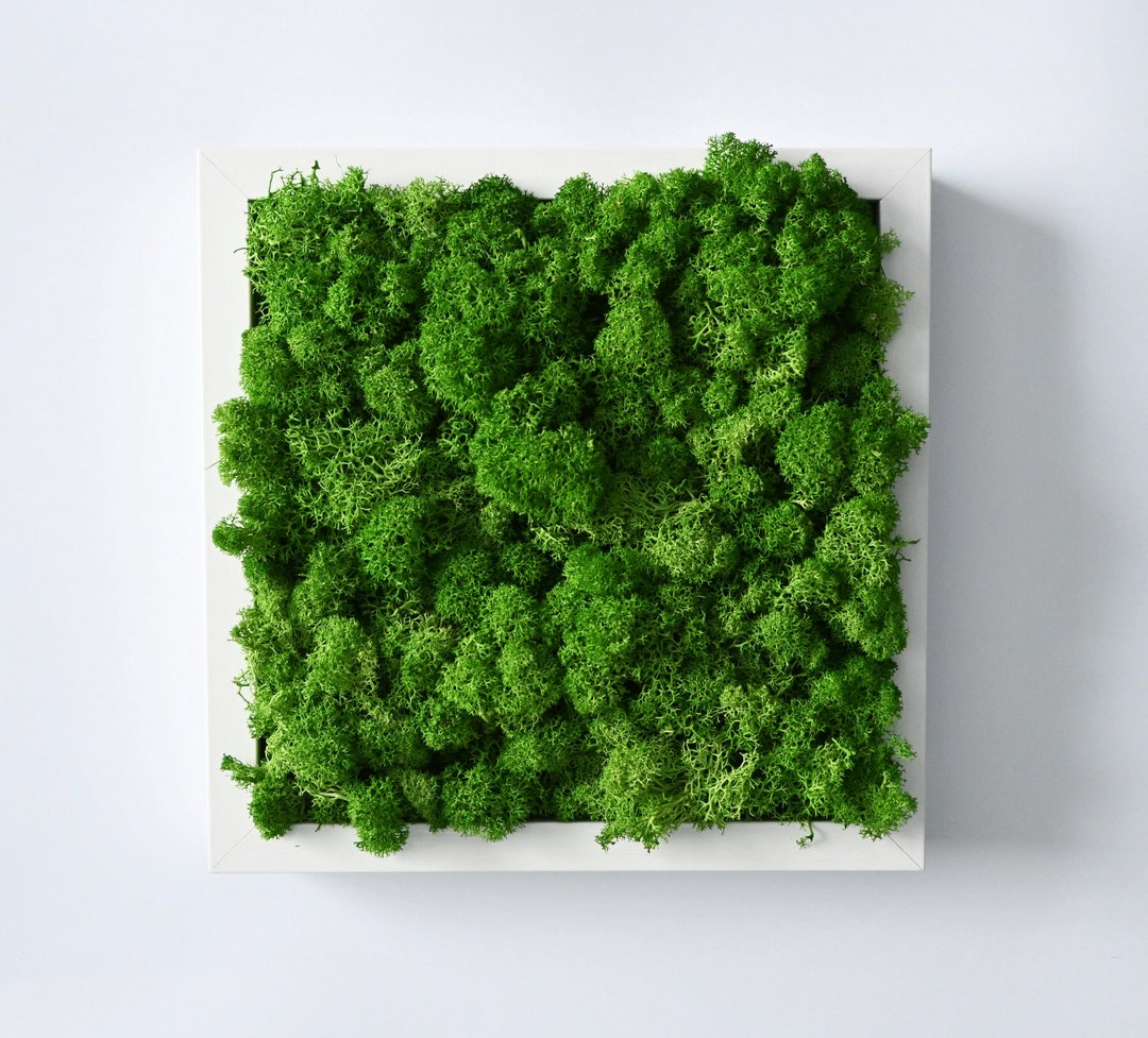 Scandinavian Moss Tile Preserved Moss Decor Home Office Decor Modern ...