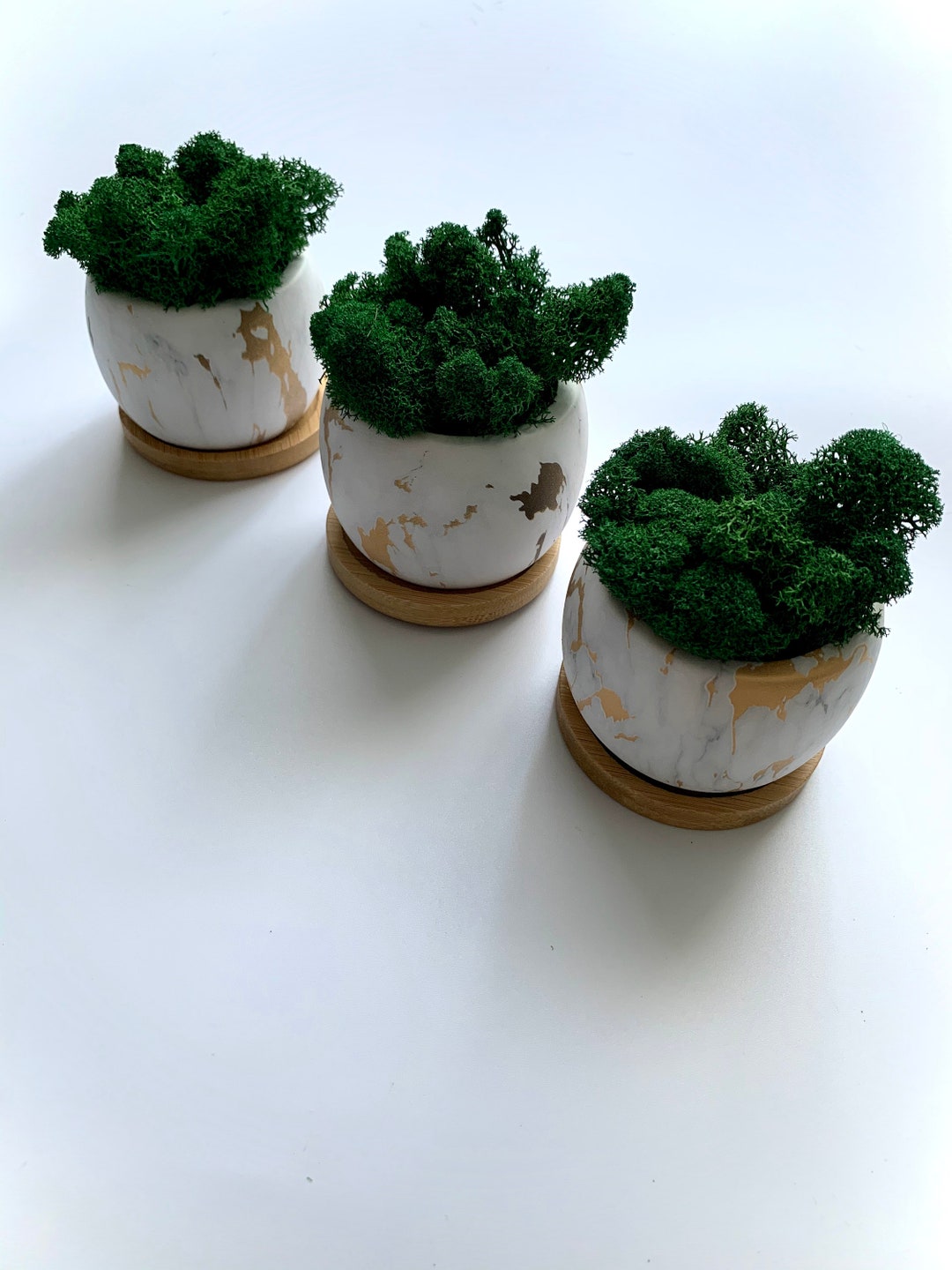 Set of 3 Moss Pots Scandinavian Moss Pot GIFT IDEA Preserved Moss Decor ...
