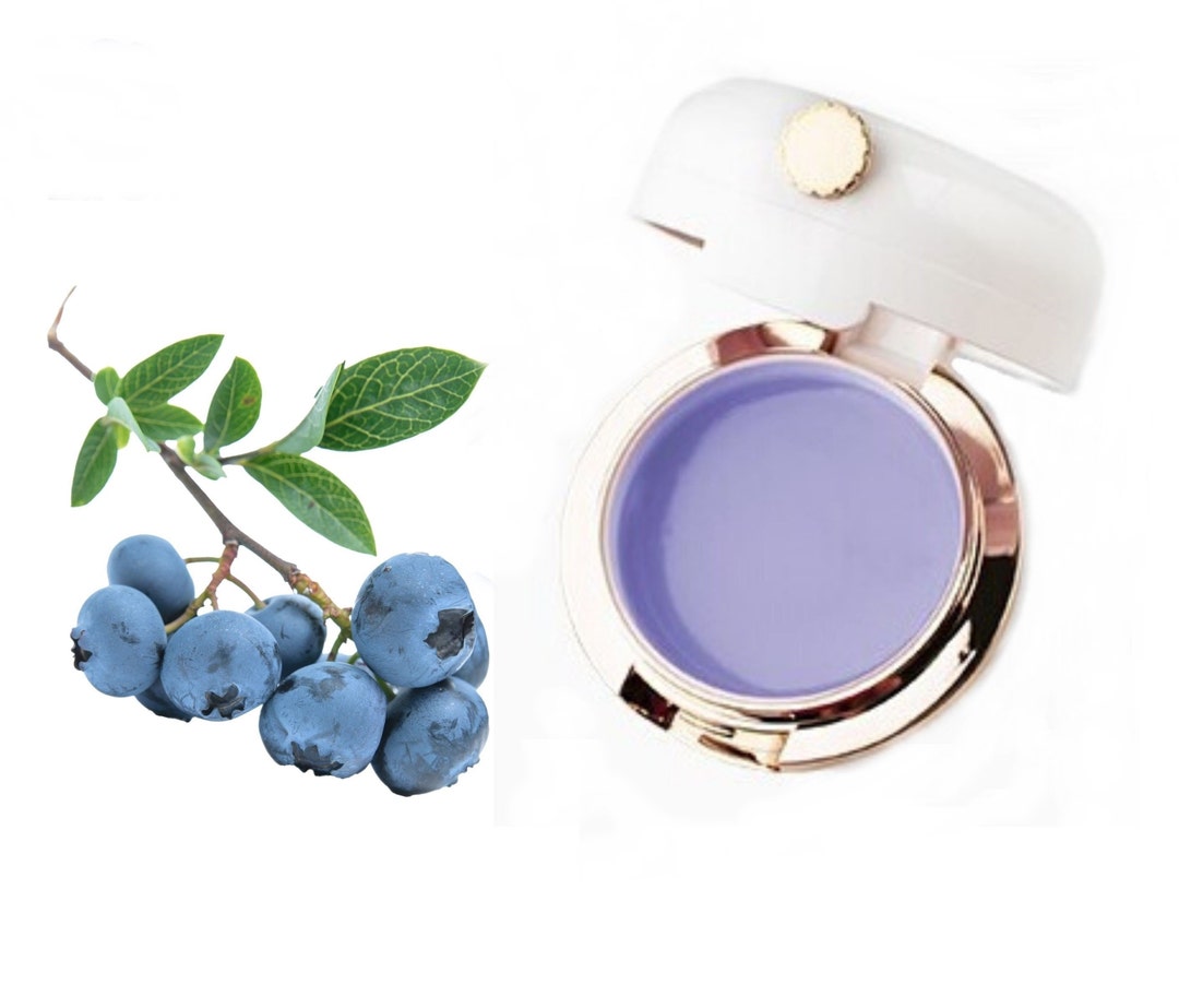 Blueberry Lip Balm, Moisturizing Anti-dry Lip Care Lip Balm, - Etsy