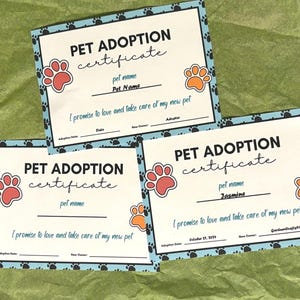 Handmade Crochet Plush Adoption Kit / Stuffed Animal Adoption / Crochet ...