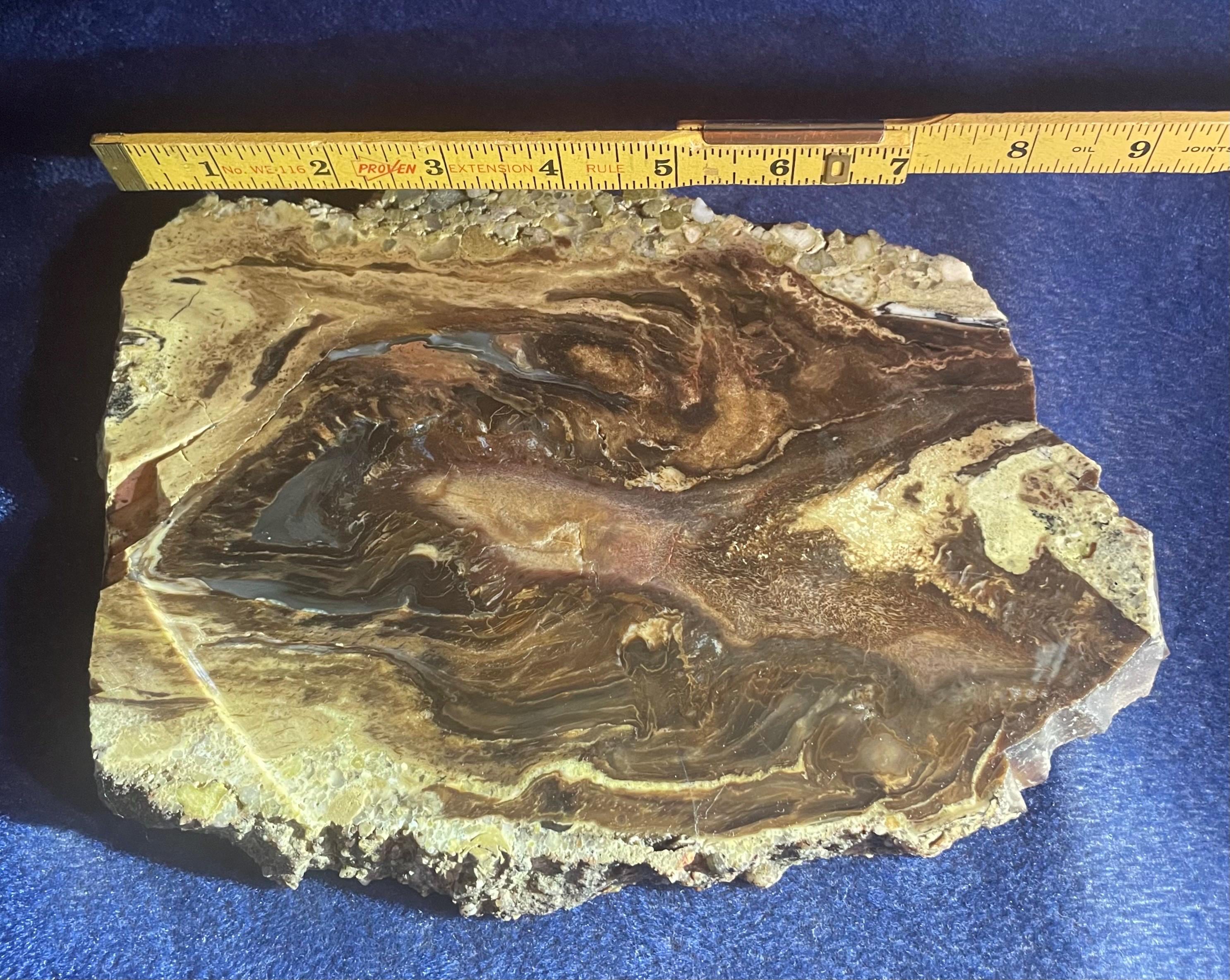 Wyoming Beaver Rim Wagon Bed Formation Pandanus Jungle Forest Pre -palm ...