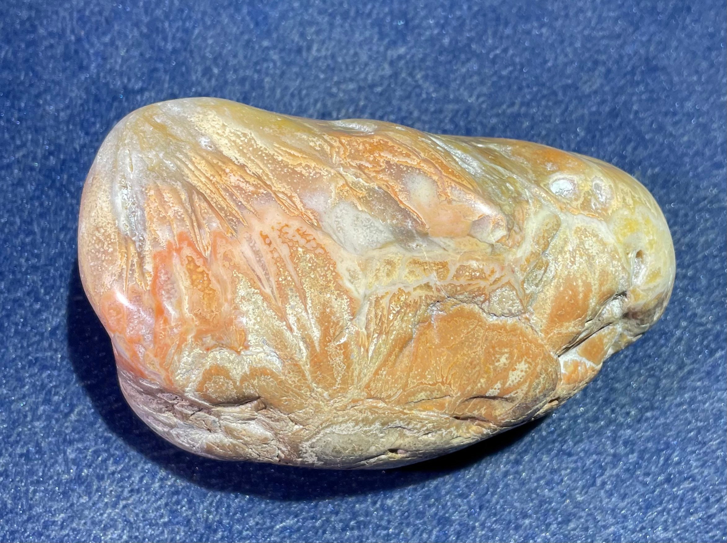 Polished Wyoming Flame Sponge / Prairie Agate | Etsy