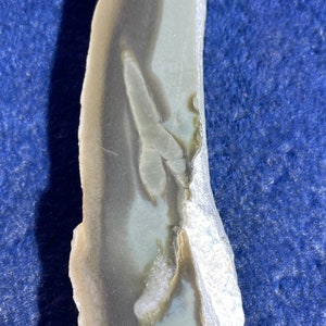 Wyoming Bull Canyon Jade Specimen - Etsy