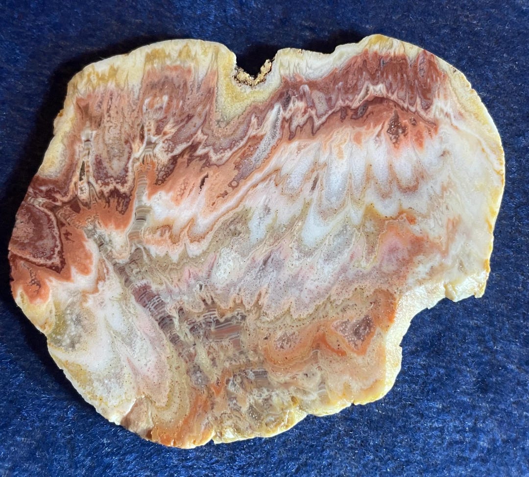 Wyoming Flame Sponge Prairie Agate Slab - Etsy