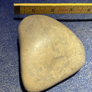 Dinosaur Gizzard Stone - Etsy
