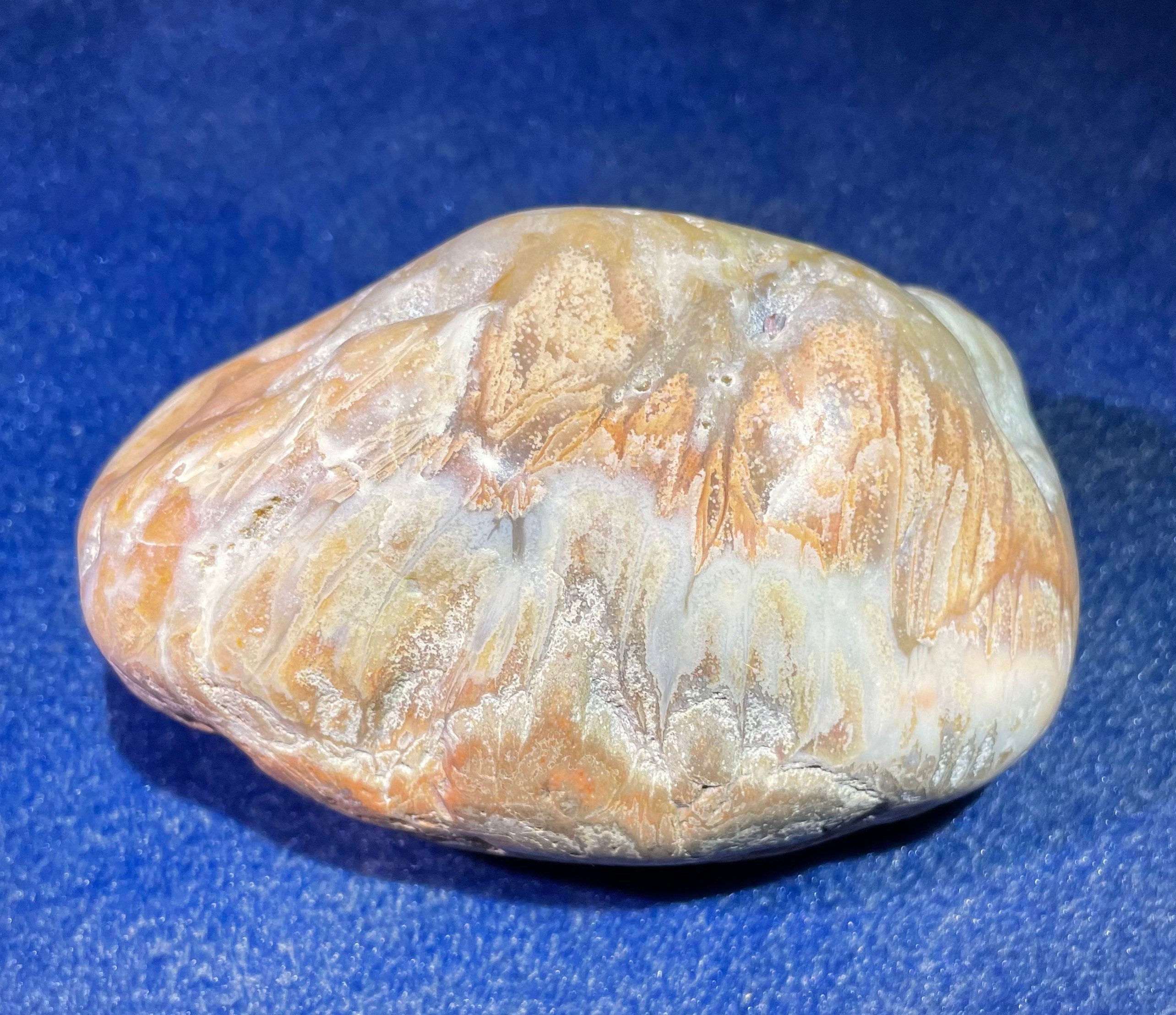 Polished Wyoming Flame Sponge / Prairie Agate - Etsy