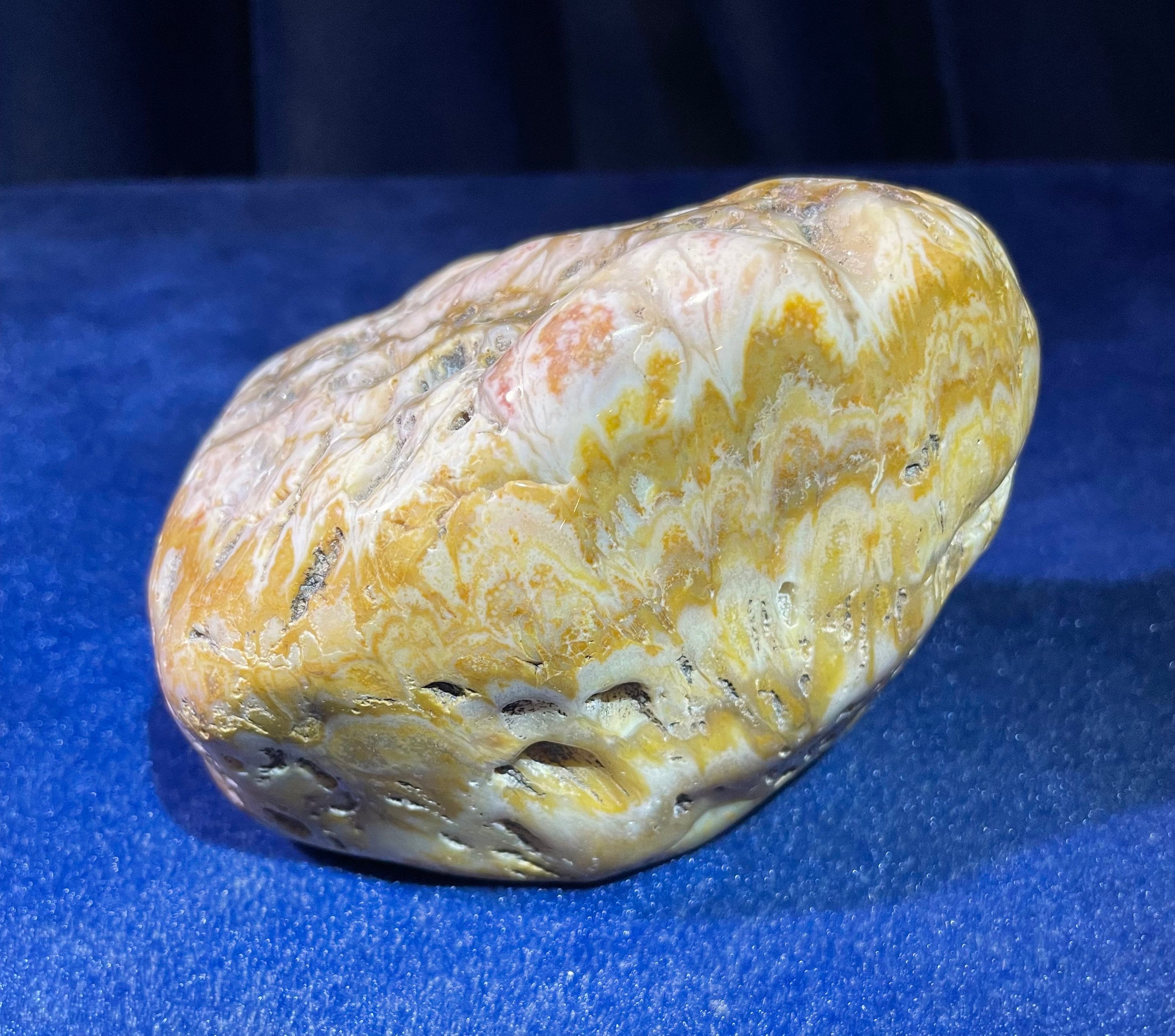 Polished Wyoming Flame Sponge / Prairie Agate - Etsy