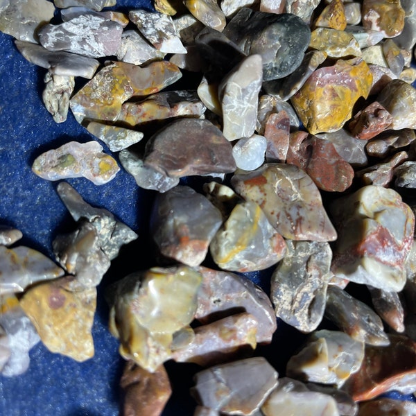 Coprolite - Etsy