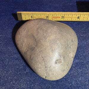 Dinosaur Gizzard Stone - Etsy