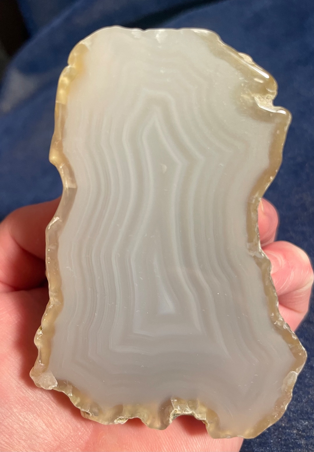 Polished Wiggins Fork Petrified Wood/ Iris Agate - Etsy