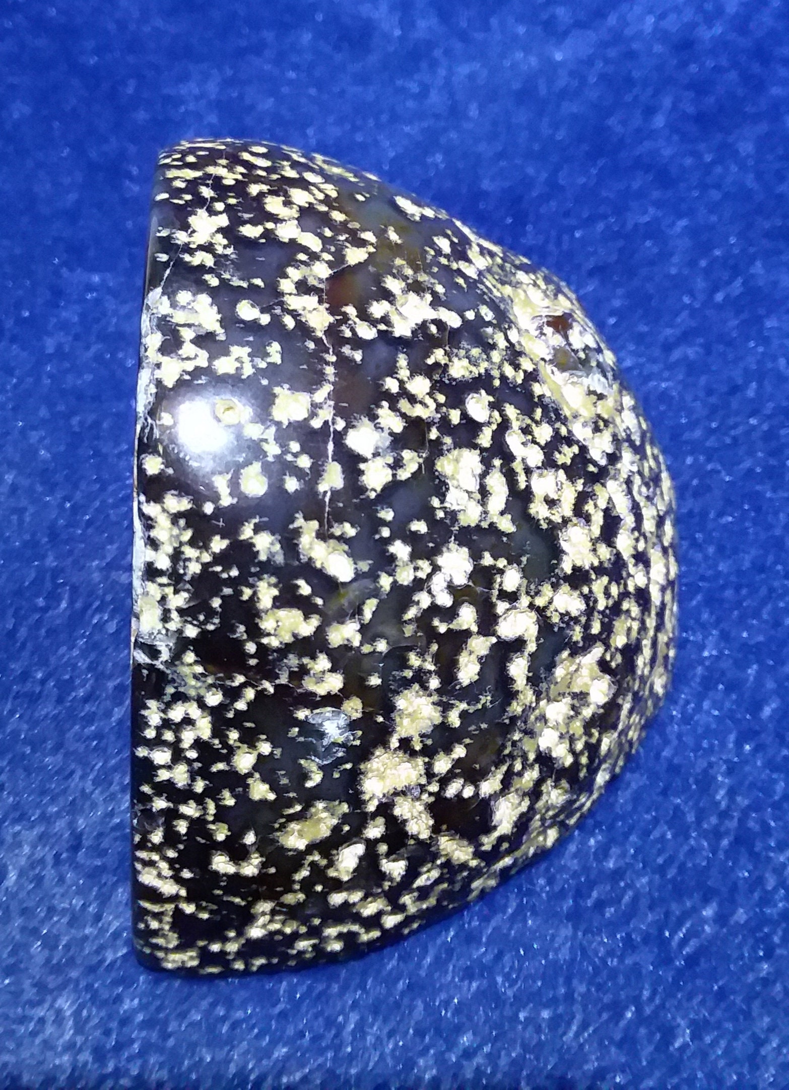 Beautiful Cut and Polished Montana Agate | Etsy