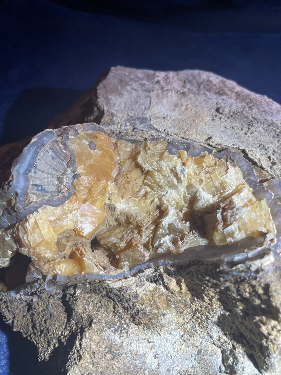 Wyoming Blue Forest Petrified Wood Limbcast With Calcite Crystals in ...