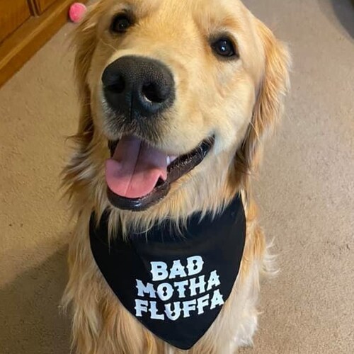 Bad Motha Fluffa Dog Bandana - Etsy Canada